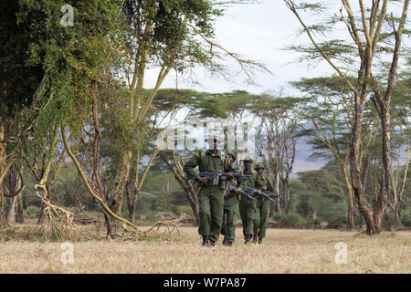 Anti-poaching patrol, Lewa Conservancy, Laikipia, Kenya, September 2012 ...