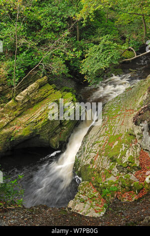 Tollymore Forest Newcastle County Down April 20 2018 - The Hermitage ...