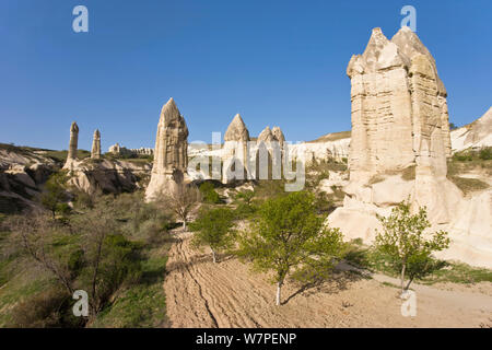 Phallic pillars known as Fairy Chimneys in the valley known as Love ...