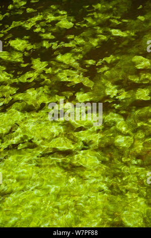Craigengillan - Scotland Stock Photo - Alamy