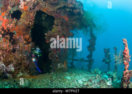 Wreck diving, Iro Maru WWII Wreck with established coral reef habitat ...