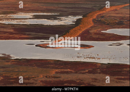 Aerial Simpson Desert Regional Reserve where lakes amongst the sand ...