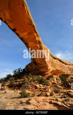 Natural Bridges National Monument is a U.S. National Monument located ...