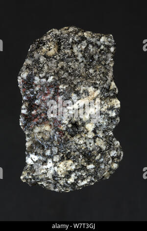 Porphyroblastic Gneiss, Wood County, Wisconsin Stock Photo - Alamy