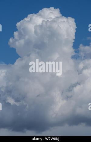 Cumulonimbus calvus, a developing thunderhead cloud Stock Photo - Alamy