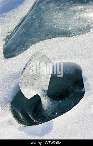 Ice vase / ice spike forming in hole in snow, Lake Baikal, Siberia ...