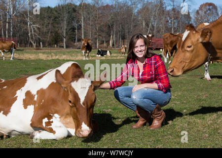 Young woman with Guernsey heifer in pasture, Granby, Connecticut, USA ...
