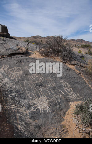 Petroglyphs on black dolomite rock, Richterveld National Park and World ...