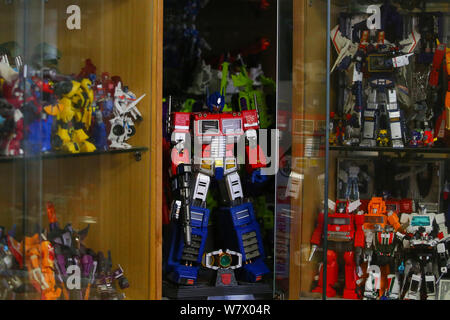 Collections of model Transformers collected by Chinese fan Wang Geng ...