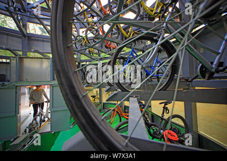 Inside view of the automatic bicycle parking system using ID or student ...