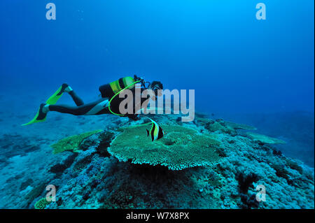 Coral reef, Indian Ocean, Mayotte Stock Photo - Alamy