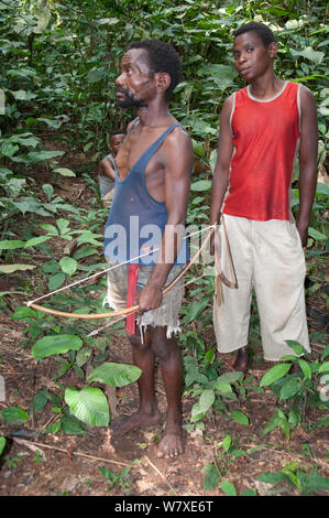 Mbuti Pygmy man, with bow and arrow. Arrows have iron tips and are used ...