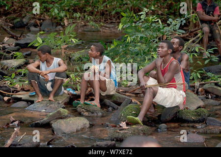 Mbuti Pygmy man, with bow and arrow. Arrows have iron tips and are used ...