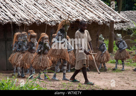 Mbuti Pygmy boys in traditional blue body paint and straw skirts, on ...