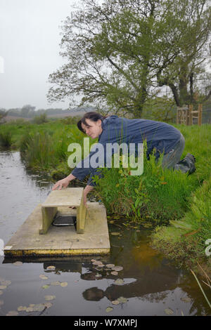 checking mink raft, United Kingdom, Scotland, Highlands, Cairngorms ...