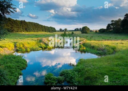The River Stiffkey, Norfolk, Uk, July Stock Photo - Alamy
