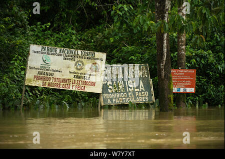 Tiputini River and Rainforest, Yasuni National Park, Amazon Rainforest ...