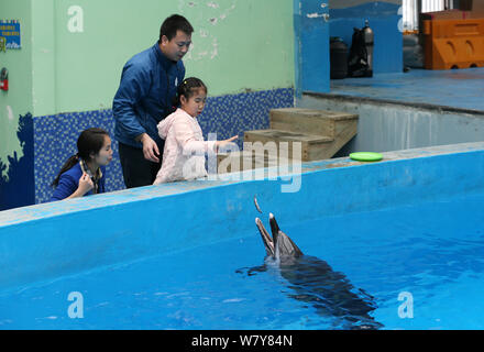 Chinese autistic girl Chenchen interacts with a dolphin under the help ...