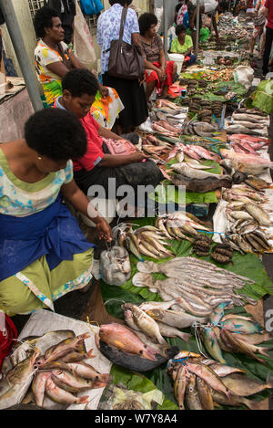 Mixed reef fish and octopus for sale, Suva Seafood Market, Viti Levu ...