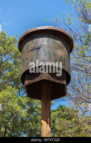 Bat Box Letaba Kruger National Park; South Africa Stock Photo - Alamy