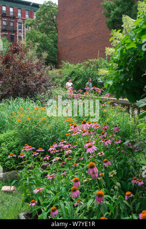 Elizabeth Gardens park in the city of Salisbury Stock Photo - Alamy
