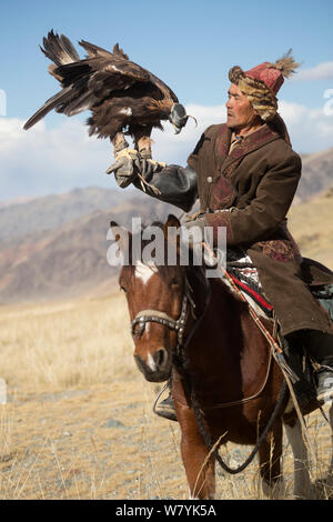 Eagle hunter mounted on Mongolian horse with his female Golden eagle ...