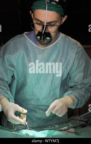 Veterinarian Romain Pizzi of the Royal Zoological Society of Scotland ...