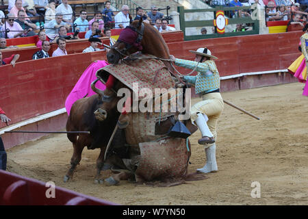 First round of bull fight, Tercio de Varas. Horse wearing protective ...