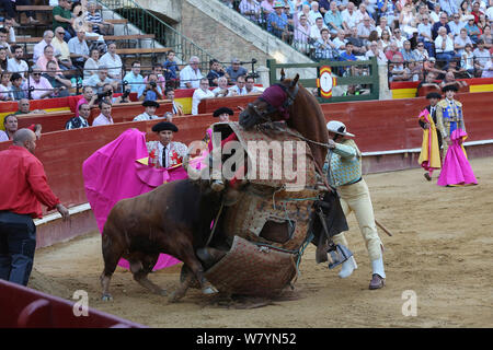 First round of bull fight, Tercio de Varas. Horse wearing protective ...