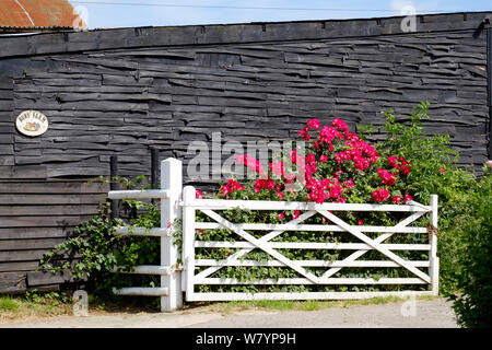 Old grey wooden fence gate in backyard garden in summer Stock Photo - Alamy