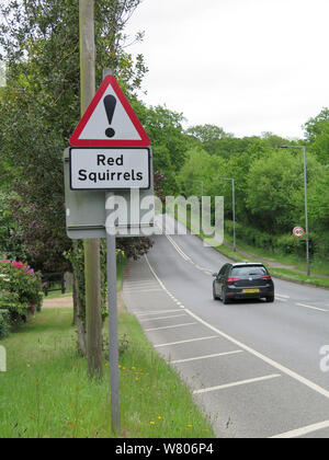 Red Squirrel warning sign. Isle of Wight Stock Photo - Alamy
