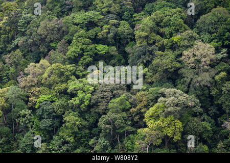 Cloud forest Alto Mayo Protection Forest Reserve Amazonas Peru Stock ...