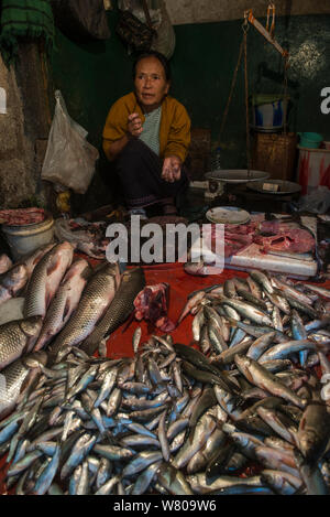 Fish market, Shillong, Meghalaya, India Stock Photo - Alamy