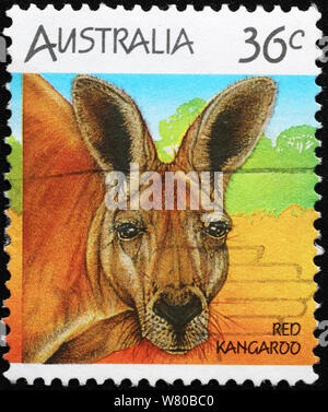 Postage stamp (Australia - Red kangaroo Stock Photo - Alamy