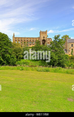 The ruins of Jedburgh Abbey by Jed Water, Jedburgh, Scottish Borders ...