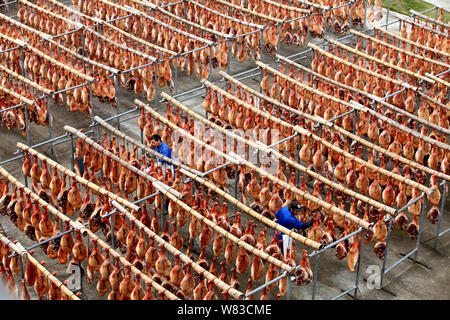 Chinese workers hang Jinhua hams to dry them in the sun in a factory of ...