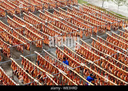 Chinese workers hang Jinhua hams to dry them in the sun in a factory of ...