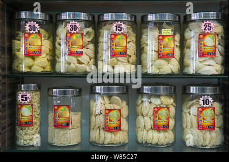 Edible-nest swiftlet, Aerodramus fuciphagus, and nest of saliva, used ...