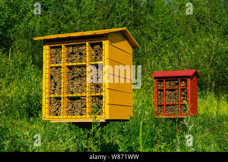 multicolored artificial nest blocks for wild solitary mason bees for ...