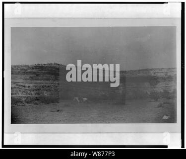 'Montezuma's Castle', on Beaver Creek, Arizona. Showing cavate (sic ...