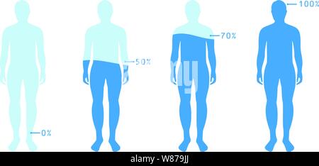 Infographic showing water percentage level in human body. Vector ...