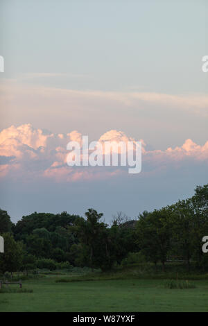 Countryside landscape during spring. Grassy field with trees and wooden ...