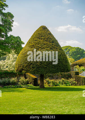 Topiary or Clipped Yew Tree Hedges, Taxus baccata, in Geometric Shapes ...