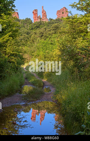 Magnificent rocks among the forest at sunset. Belogradchik, Bulgaria ...