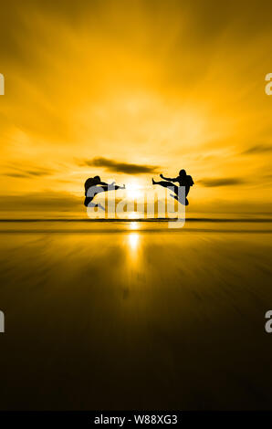 Flying Kung - Fu Kick Stock Photo - Alamy