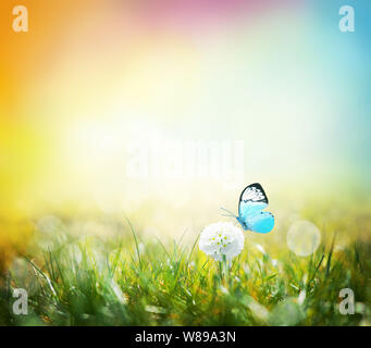 sunny meadow with flowers and green grass in spring at countryside ...