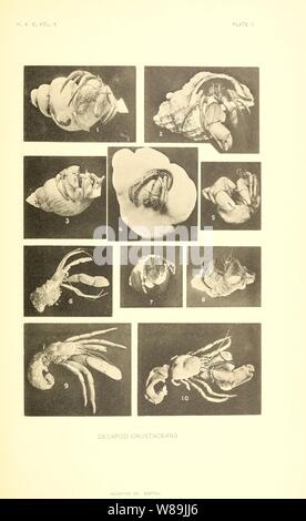 . Decapod crustaceans of the northwest coast of North America ...