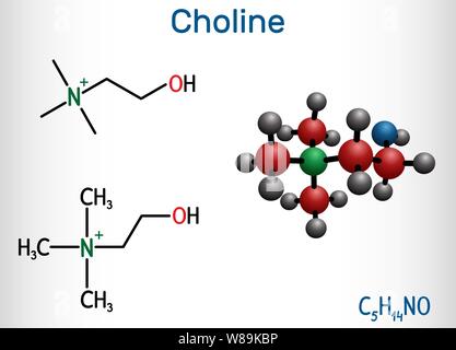 Choline vitamin-like essential nutrien molecule. It is a constituent of ...