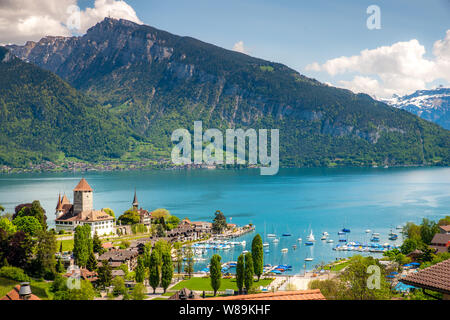 Spiez castle on lake Thun, Spiez, Bernese Oberland, Switzerland, Europe ...