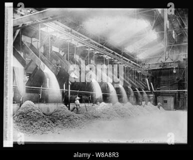 Delivering Bagasse to fire-room. Raw sugar mill. Hawaiian Islands ca ...